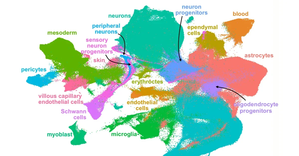 New BioRxiv paper online! | Butler Research Lab