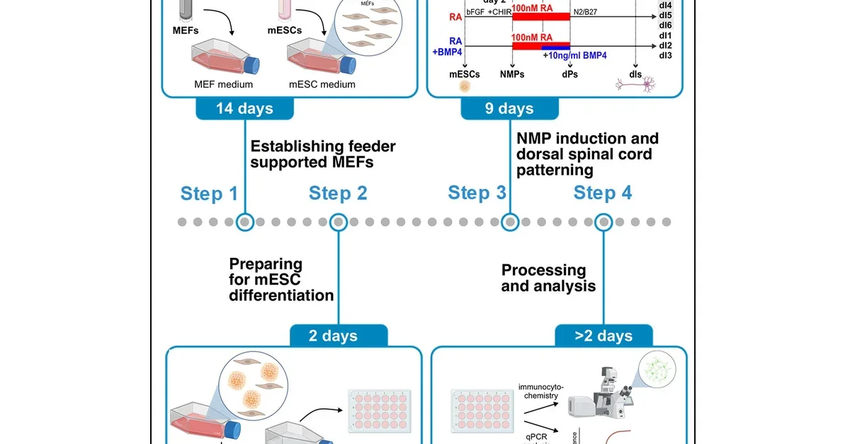 STAR Protocols paper published! | Butler Research Lab