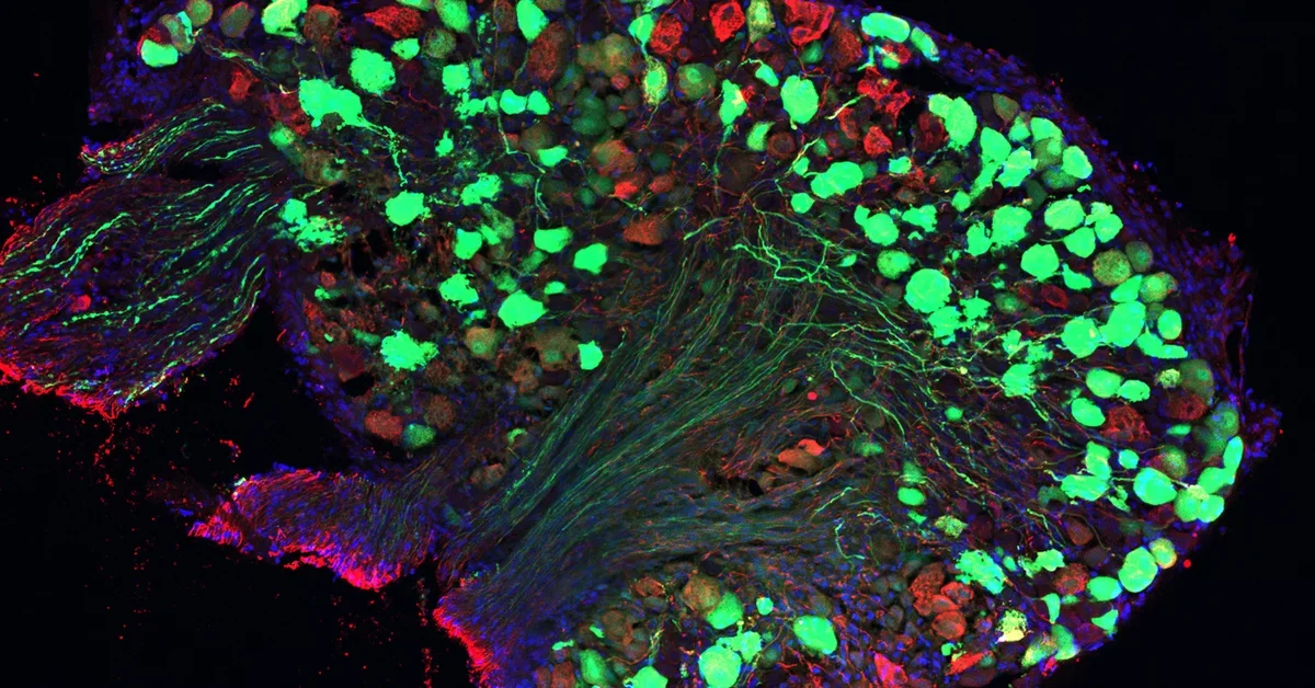 Butler lab images in the 2023 BRI calendar | Butler Research Lab